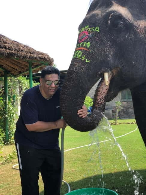 Jaipur: Elephant Interaction Tour - What’s Included & Practical Details