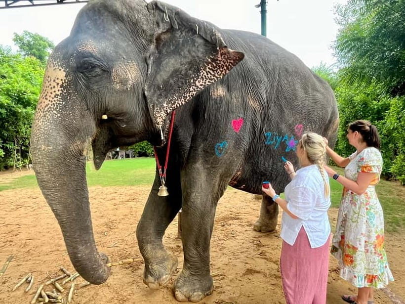 Jaipur: Elephant Interaction Tour - FAQs