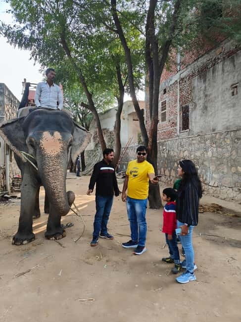 Jaipur: Full-Day city Tour By AC vehicle with Guide - Key Points