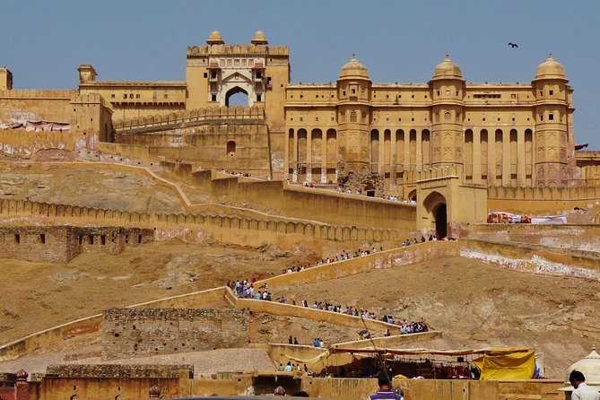 Jaipur Full Day City Tour visit Hawa Mahal, Amber Fort & City Palace - Jal Mahal: A Serene Water Palace