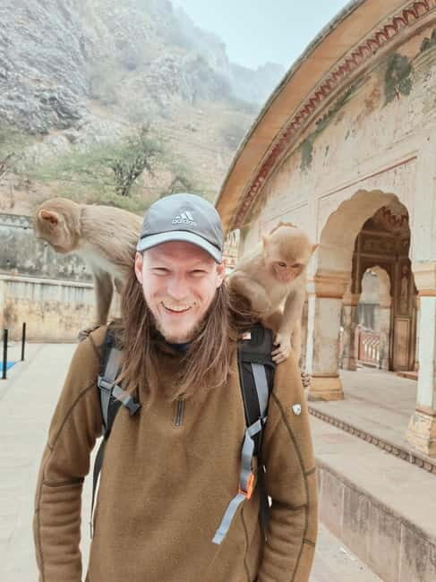 Jaipur Full-Day City Tour with Monkey Temple By AC Car - Key Points