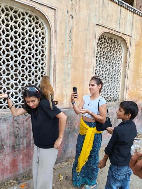 Jaipur Full-Day City Tour with Monkey Temple By AC Car - Who Will Love This Tour?