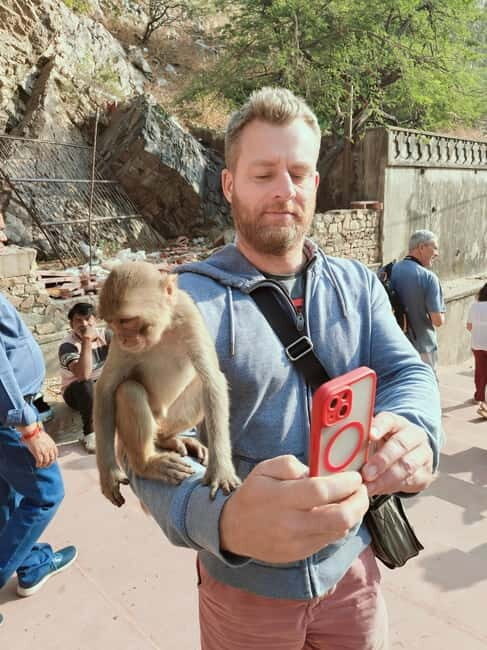 Jaipur Full-Day City Tour with Monkey Temple By AC Car - Final Thoughts