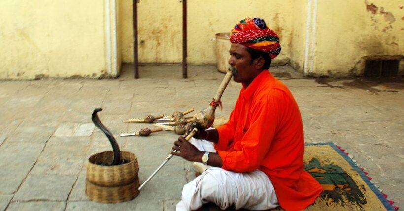 Jaipur: Full-Day Private City Tour by Car with Guide - Pricing and Value