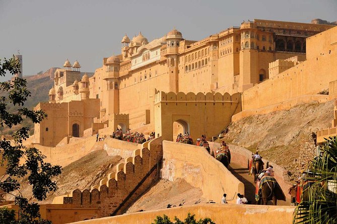 Jaipur Full-Day Private Guided Tour - What Makes This Tour Stand Out?