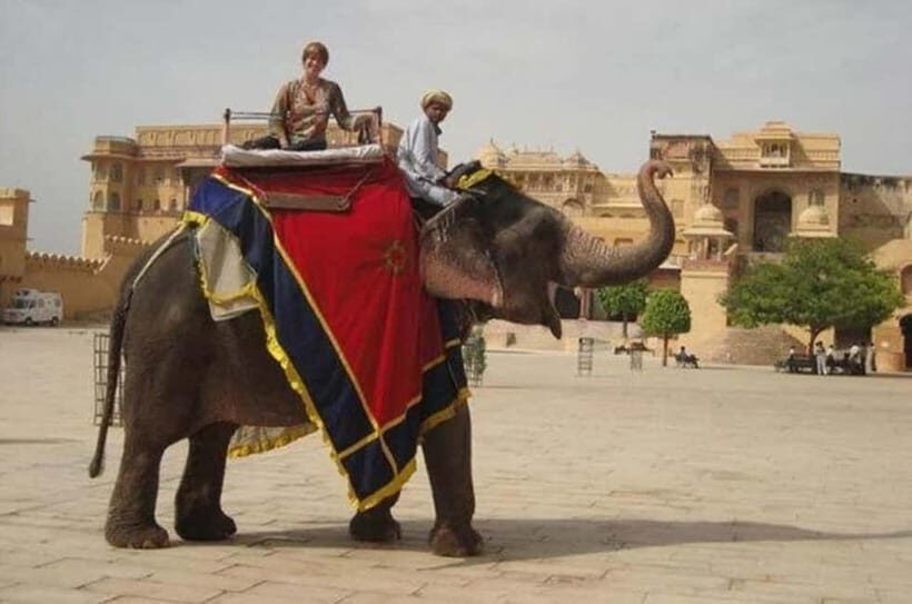 Jaipur: Full-Day Sightseeing Tour By Car with Guide - What Reviewers Say