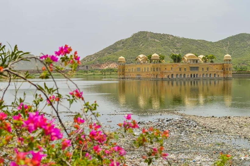 Jaipur: Full-Day Sightseeing Tour w/ Guide & Lunch (Buffet) - Key Points