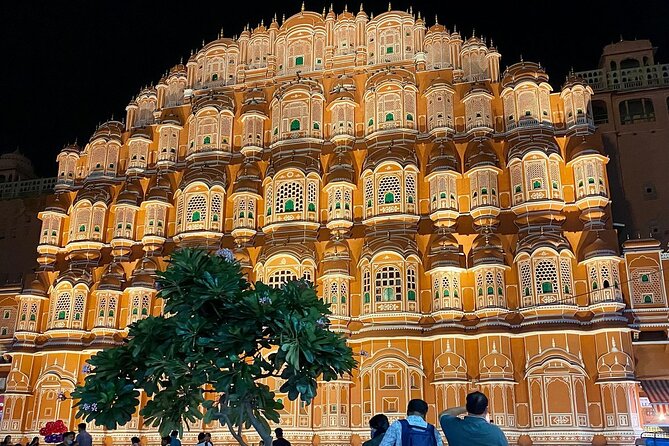 Jaipur Full-Day Tour by Car with Govt Guide - Who Is This Tour Best For?