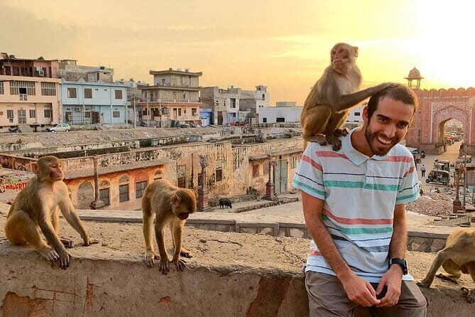 Jaipur Half-Day Tour with Flower Market & Sunset Views - Key Points