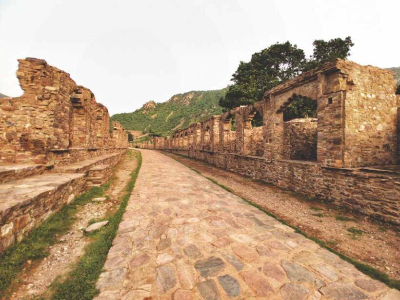 Jaipur: Haunted Bhangarh Fort and Abhaneri Stepwell Day Trip - Who Will Love This Tour?