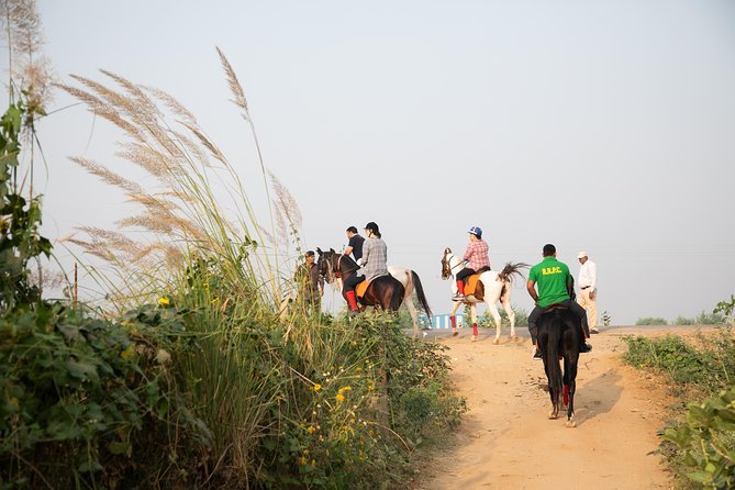 Jaipur Horse Riding Adventure - The Sum Up: Is It Worth It?