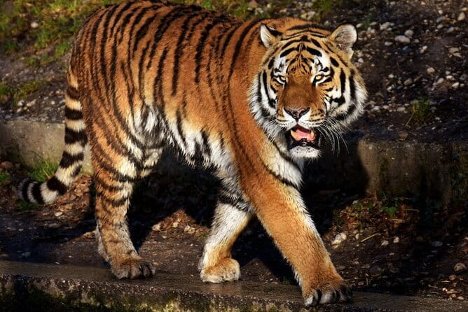 Jaipur Instagram Tour of Photogenic Spots - The Sum Up