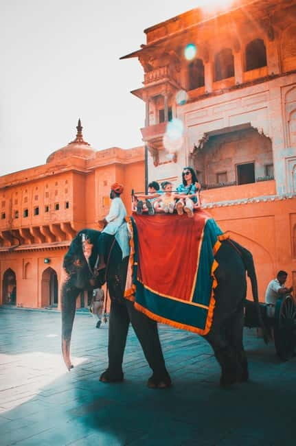 Jaipur: Jaipur & Amber Fort Full or Half-Day Guided Tour - Key Points