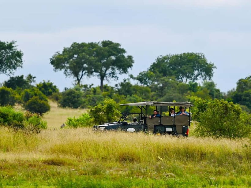 Jaipur: Jhalana Amagarh Leopard Reserve 4×4 Jeep Safari - Practical Tips for the Tour