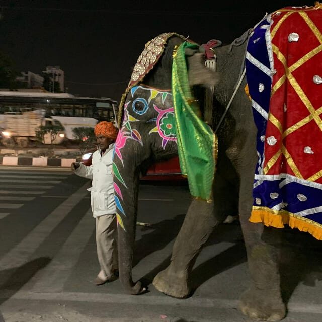 Jaipur: Night Tuk-Tuk Tour With Friendly Local Driver - Practical Details and Tips