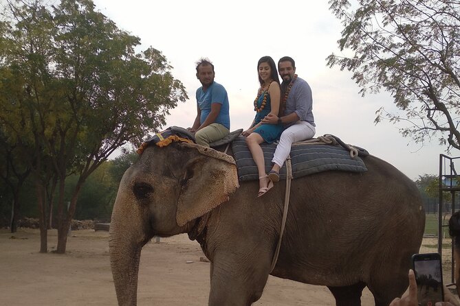 Jaipur Pink City Private Day Trip from Delhi - What’s Included and What’s Not?