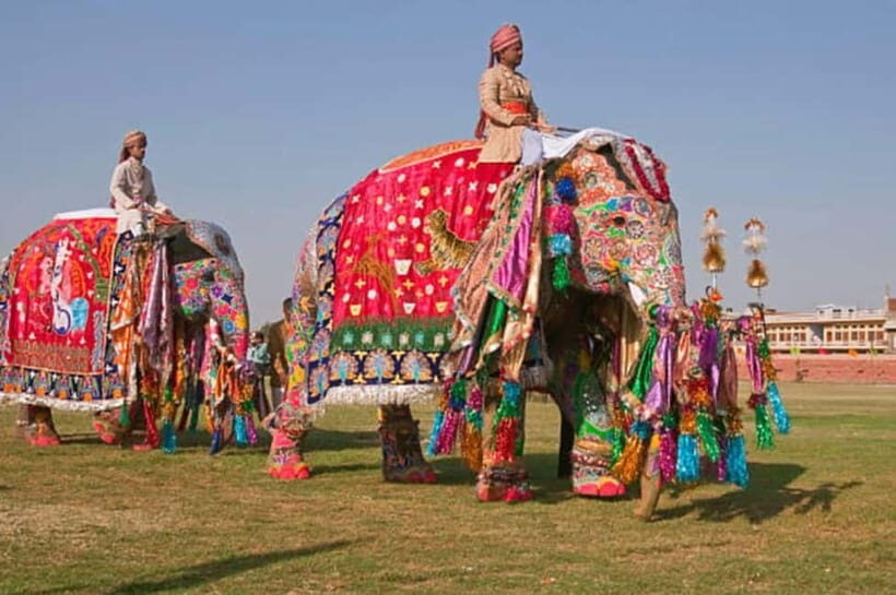 Jaipur: Private Full-Day City Tour with Car and Guide - Key Points