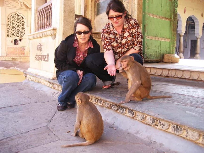 Jaipur: Private Full-Day Pink City Tour with Monkey Temple - Authentic Experiences and Traveler Feedback