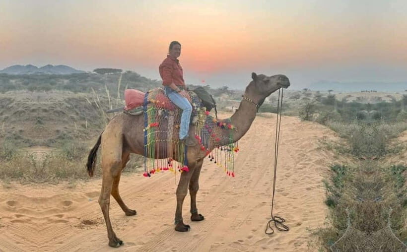 Jaipur: Pushkar Day Trip with Optional Camel Safari - An Overview of the Itinerary and What You Can Expect