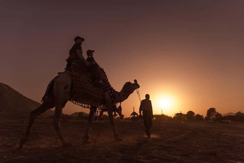 Jaipur: Pushkar Day Trip with Optional Camel Safari - Who Will Love This Tour?