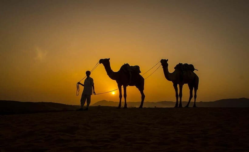 Jaipur: Pushkar Day Trip with Optional Camel Safari - FAQ