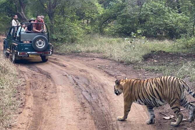 Jaipur Ranthambore Full Day Private Tour - Is This Tour Worth It?