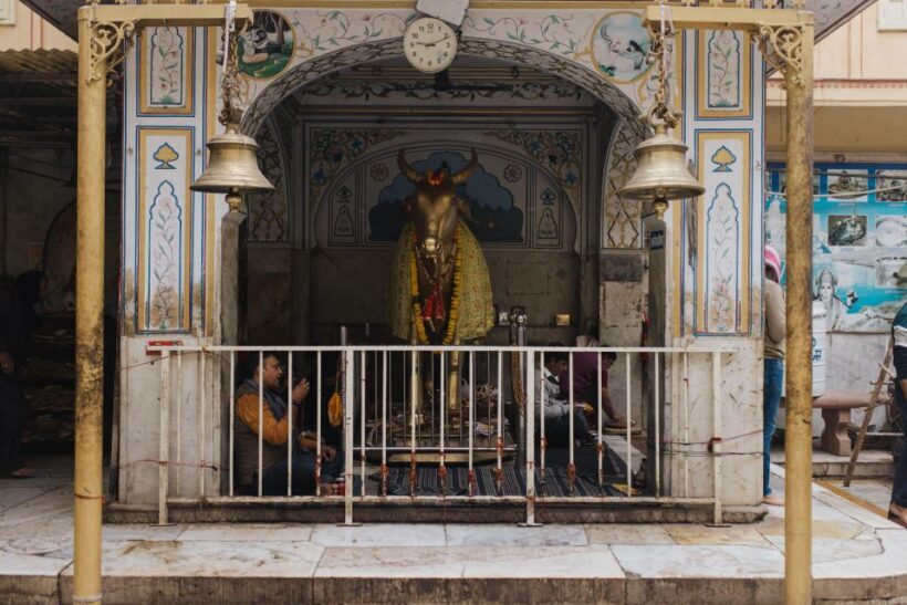 Jaipur: Temple Tour - Exploring Jaipur’s Temple Heritage