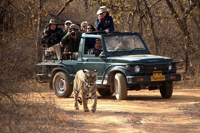 Jaipur to Ranthambore National Park Private One Day Trip - Arriving at Ranthambore National Park