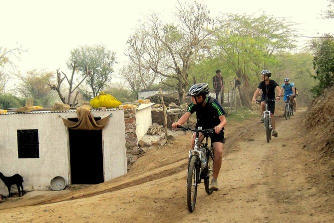 Jaipur Village Cycling Safari - What to Expect and Why It Matters