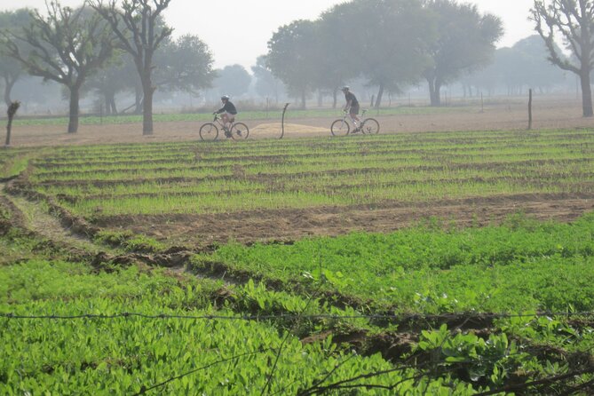 Jaipur Village Cycling Safari - The Sum Up