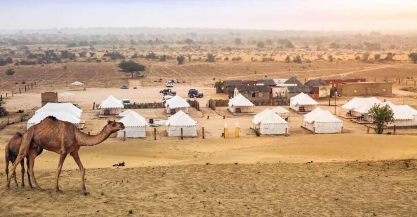 Jaisalmer: 2 Days Adventure in the Thar Desert - Who Will Love This Tour?