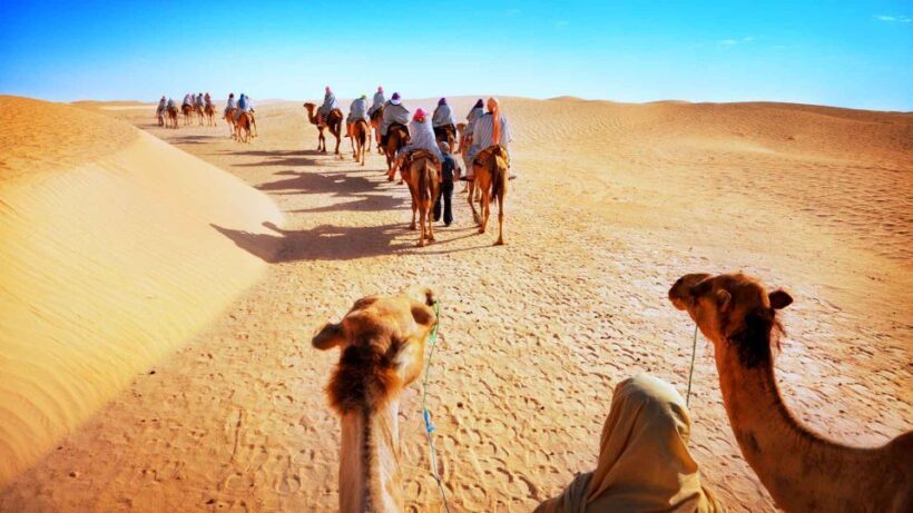 Jaisalmer: Desert safari with sunset and dinner on dunes - Who is This Tour Best For?