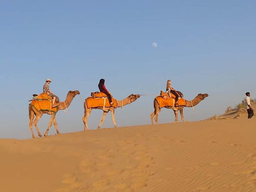 Jaisalmer: Half-Day Camel Tour with Dinner - Key Points