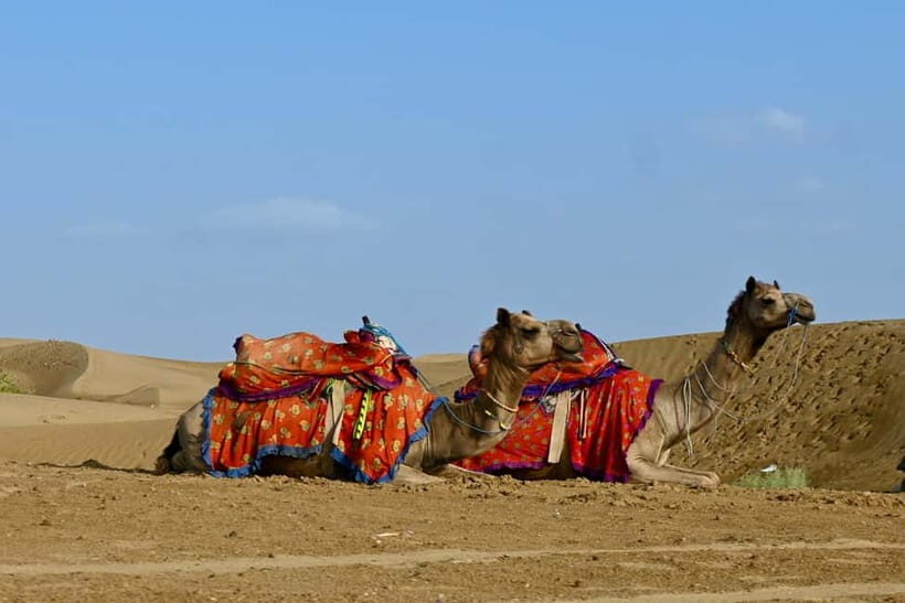Jaisalmer: Sam Sand Dunes Sunset Tour with Camel Ride - FAQ