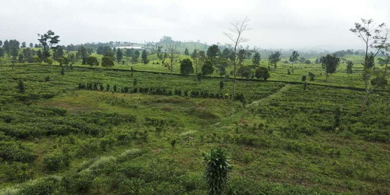 Jakarta: Active Volcano, Waterfall &beautiful local village - Jakarta: Active Volcano, Waterfall & Beautiful Local Village – A Deep Dive into West Java’s Natural Marvels