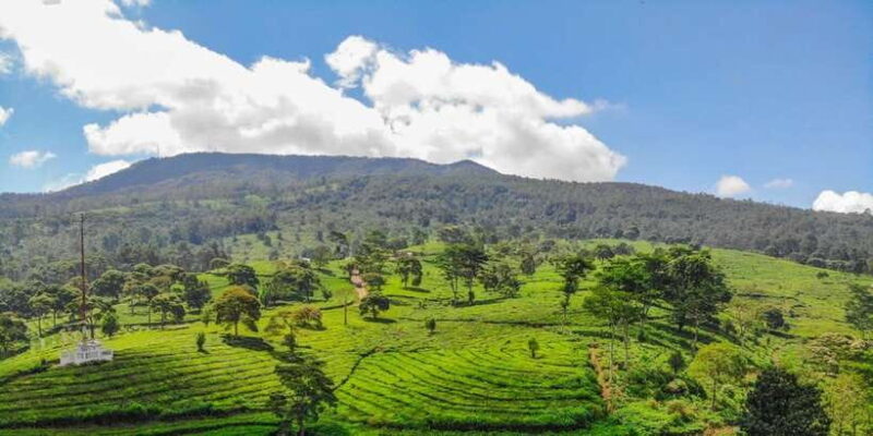 Jakarta: Bandung Volcano Day Tour - Key Points