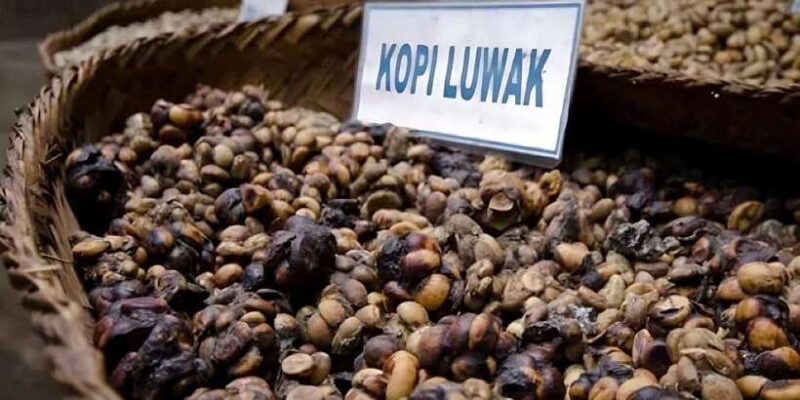 Jakarta: Bandung Volcano Day Tour - Who Should Consider This Tour?