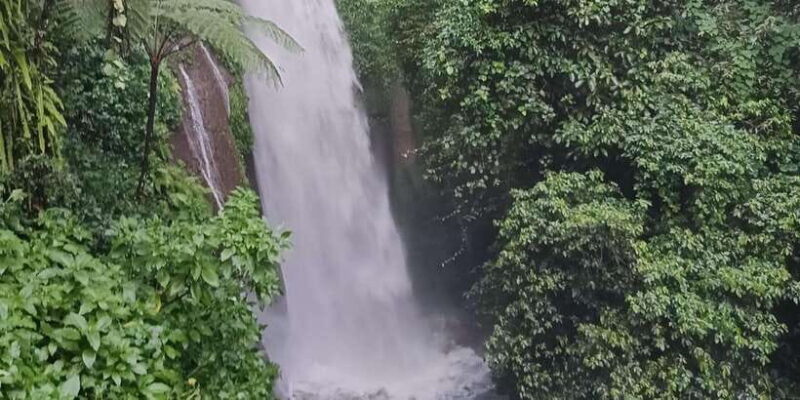 Jakarta Bogor Botanical Garden, Waterfall and Rice Terrace - What’s Included & What’s Not