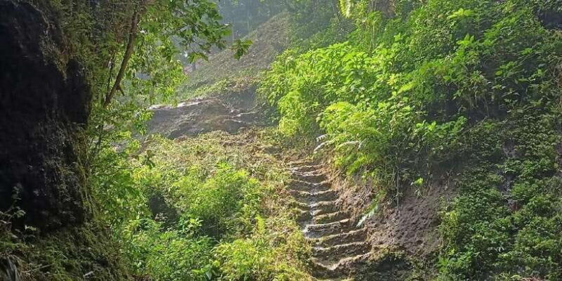 Jakarta Bogor Botanical Garden, Waterfall and Rice Terrace - Final Thoughts