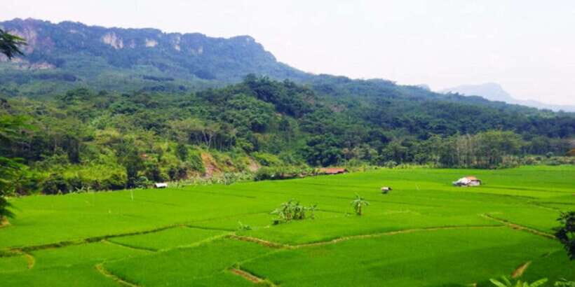 Jakarta: Botanical Garden & Rainforest Trekking to Waterfall - Key Points