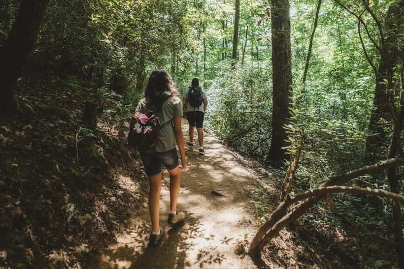 Jakarta: Botanical Garden & Rainforest Trekking to Waterfall - A Full-Day Journey That Rewards Curious Travelers