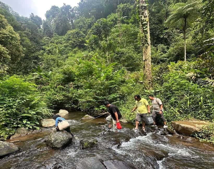 Jakarta: Botanical Garden & Rainforest Trekking to Waterfall - Authentic Experiences & Authentic Guides