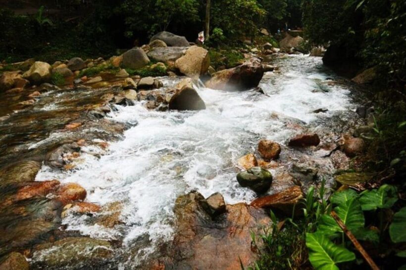 Jakarta: Botanical Garden & Rainforest Trekking to Waterfall - The Sum Up: Who Should Consider This Tour?