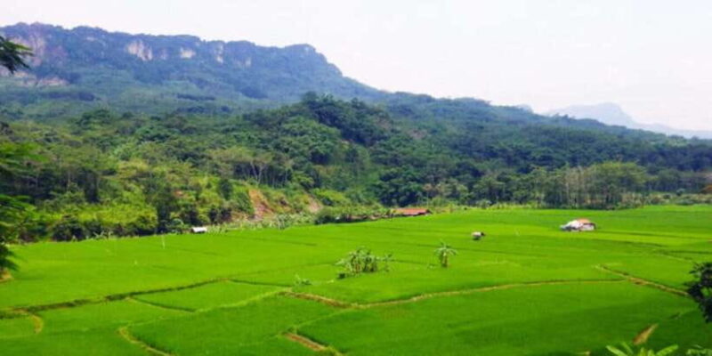 Jakarta: Botanical Garden & Rainforest Trekking to Waterfall - Practical Tips for Participants