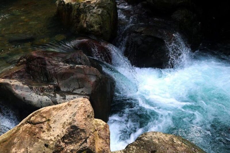 Jakarta: Botanical Garden & Rainforest Trekking to Waterfall - Authentic Insights from Past Travelers