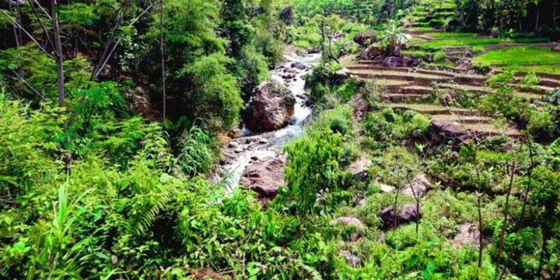 Jakarta: Botanical Garden & Rainforest Trekking to Waterfall - FAQ about the Jakarta: Botanical Garden & Rainforest Trekking to Waterfall Tour