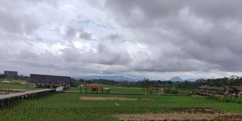 Jakarta : Botanical Garden, Waterfalls, and Rice Fields Tour - Key Points