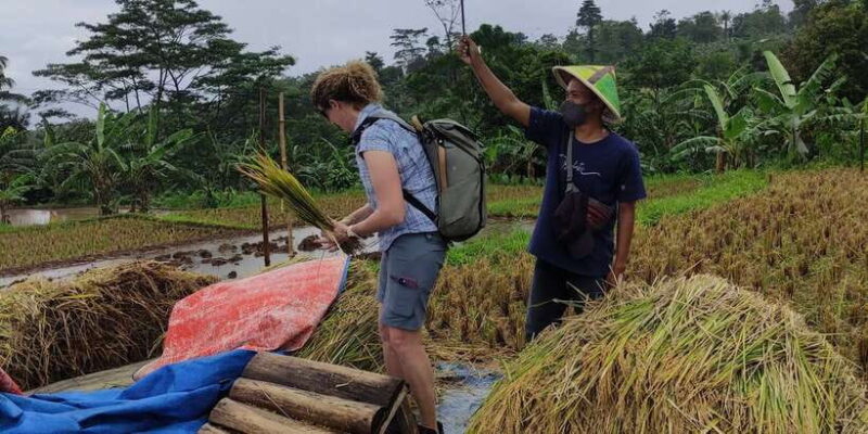 Jakarta : Botanical Garden, Waterfalls, and Rice Fields Tour - Cultural Insights at the Wooden Puppet Studio
