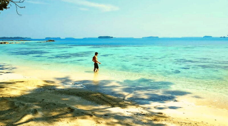 Jakarta: Diving at Thousand Islands Marine Park Day Trip - Deep Dive into the Tour Components