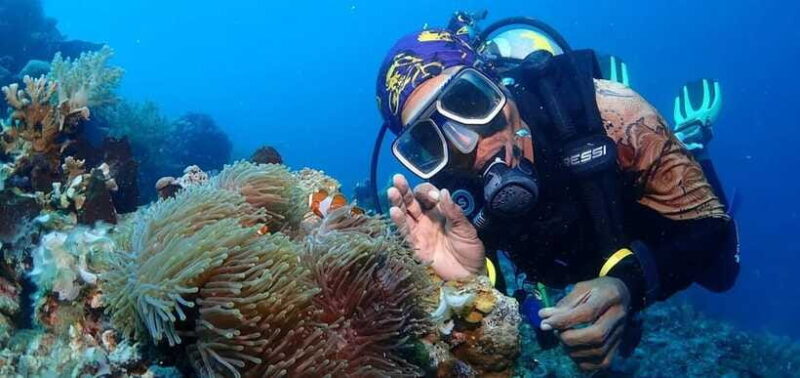 Jakarta: Diving at Thousand Islands Marine Park Day Trip - FAQs